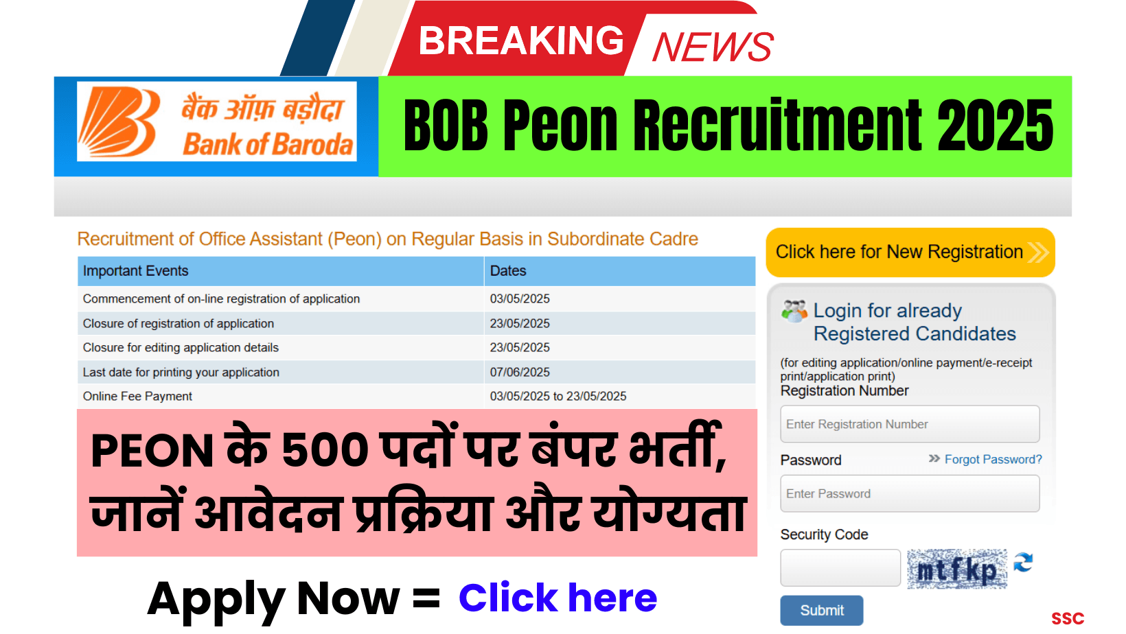 Bank of Baroda Office Peon Recruitment 2025-26: पियून के 500 पदों पर ...